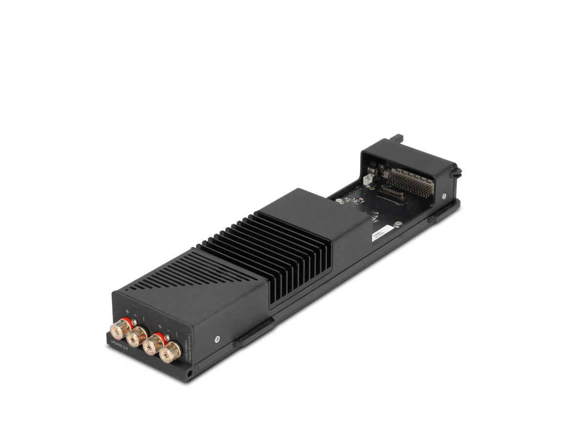 Linn Selekt DSM Organik DAC Stereo-Modul